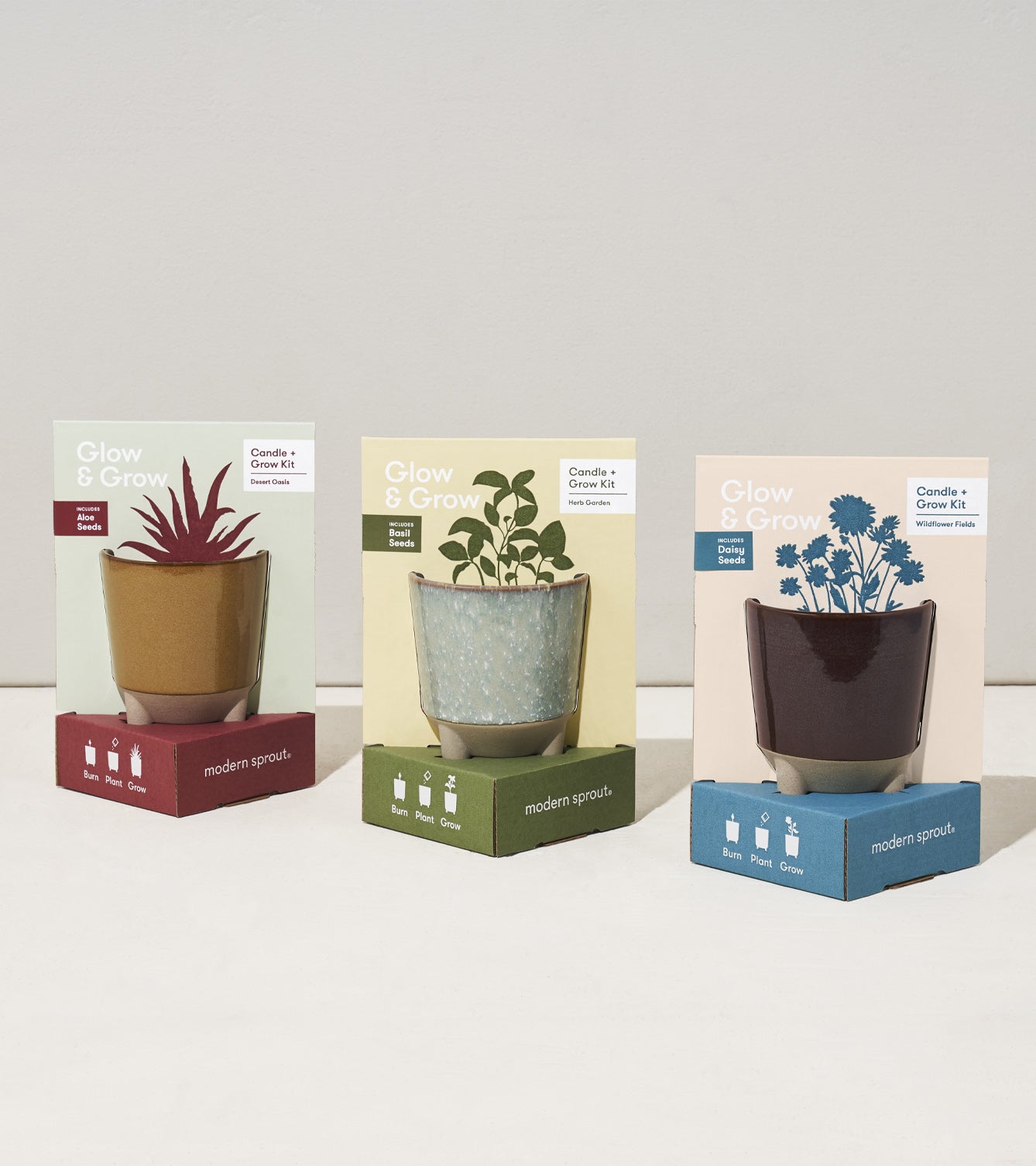 Glow & Grow Kits – NYBG SHOP